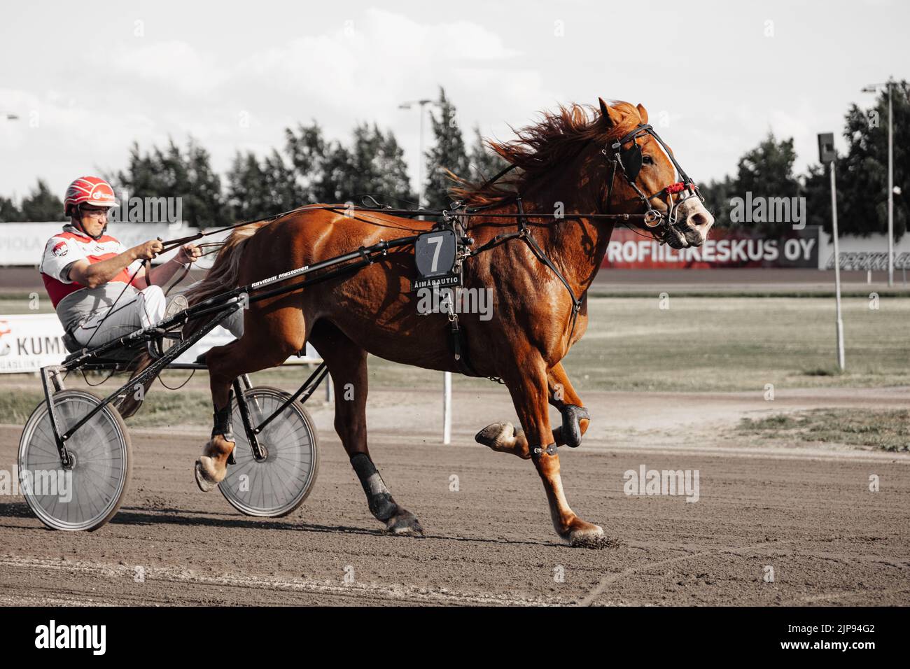 Sulky cart hi-res stock photography and images - Alamy