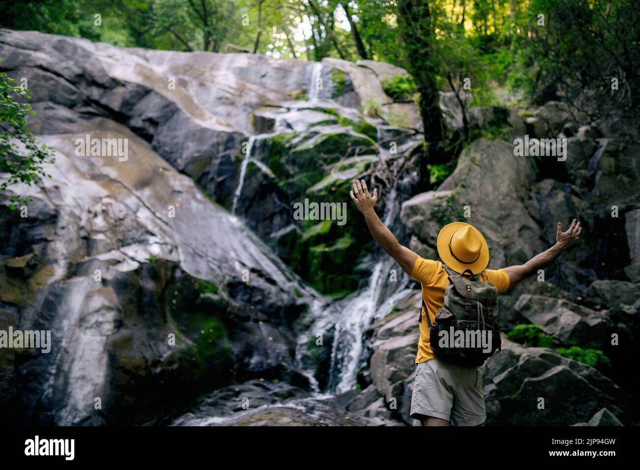 freedom, joy, adventure, nature, freedoms, happiness, joys, adventures ...