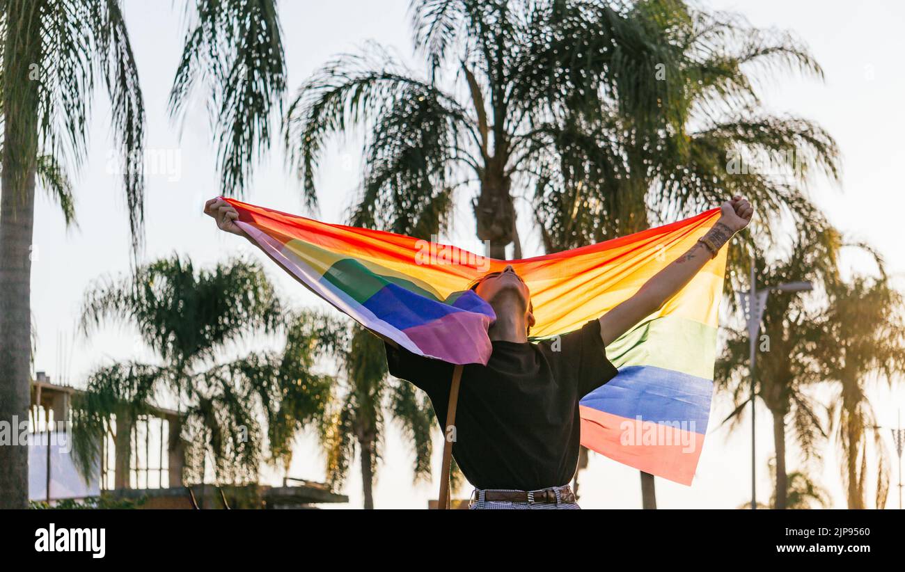 freedom, homosexual, lgbtq, regenbogenflagge, freedoms, gay ...