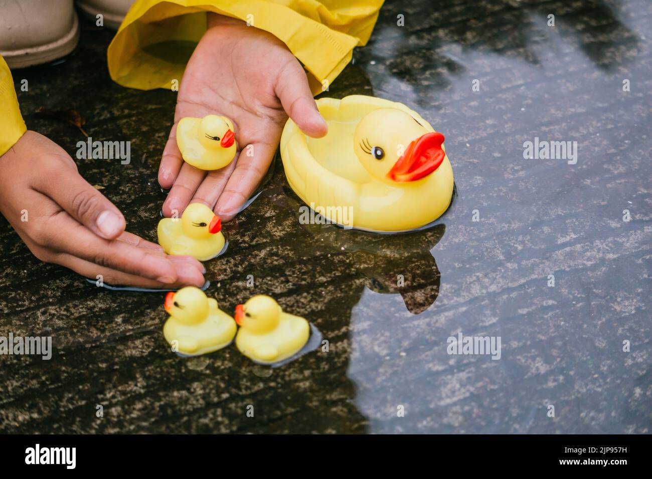 animal family, playing, rubber duck, animal families, play, rubber ...