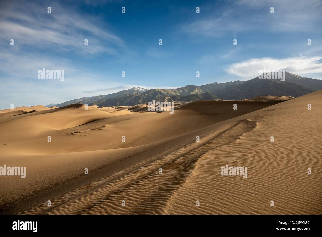 Riples on the Ripples of a Sand Dune crest in Great Sand Dunes National ...