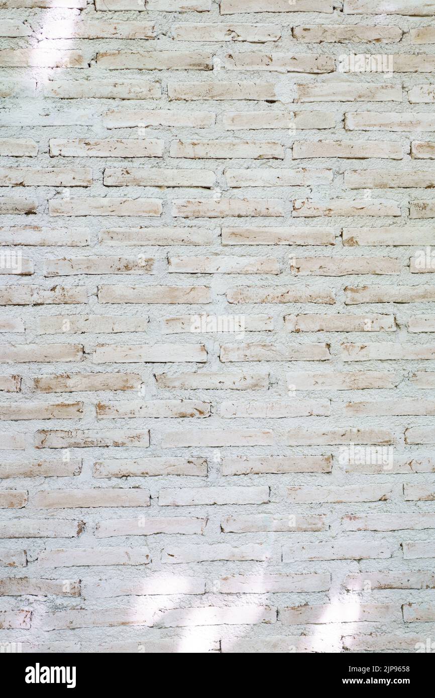 The wall is made of brick and then painted in white. There are creepers ...