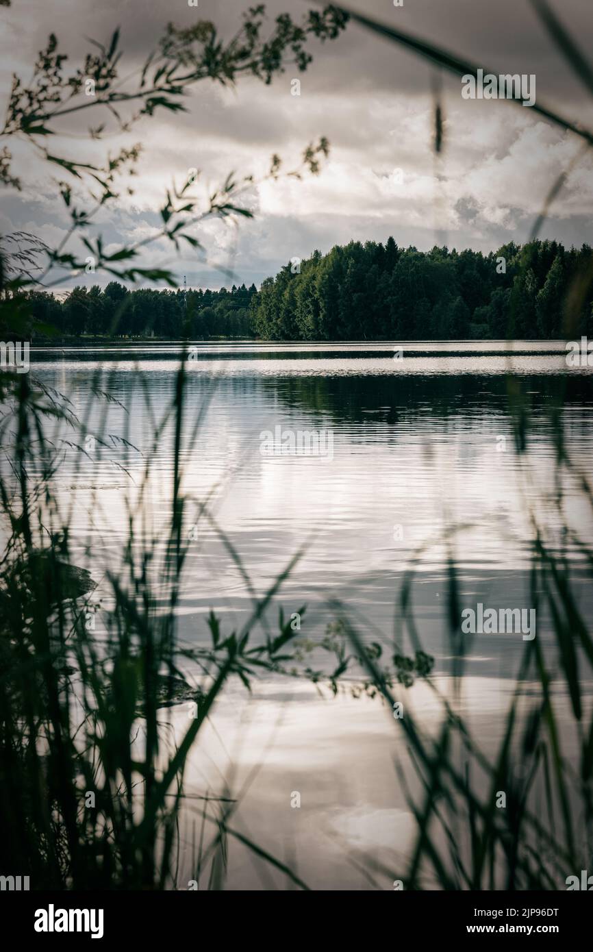 A beautiful vertical landscape of a lake with green forest Stock Photo ...