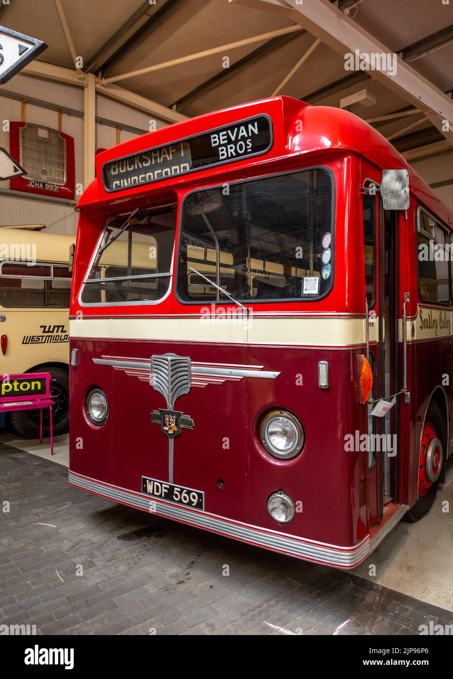 Vintage buses on display at The Transport Museum in Wythall ...