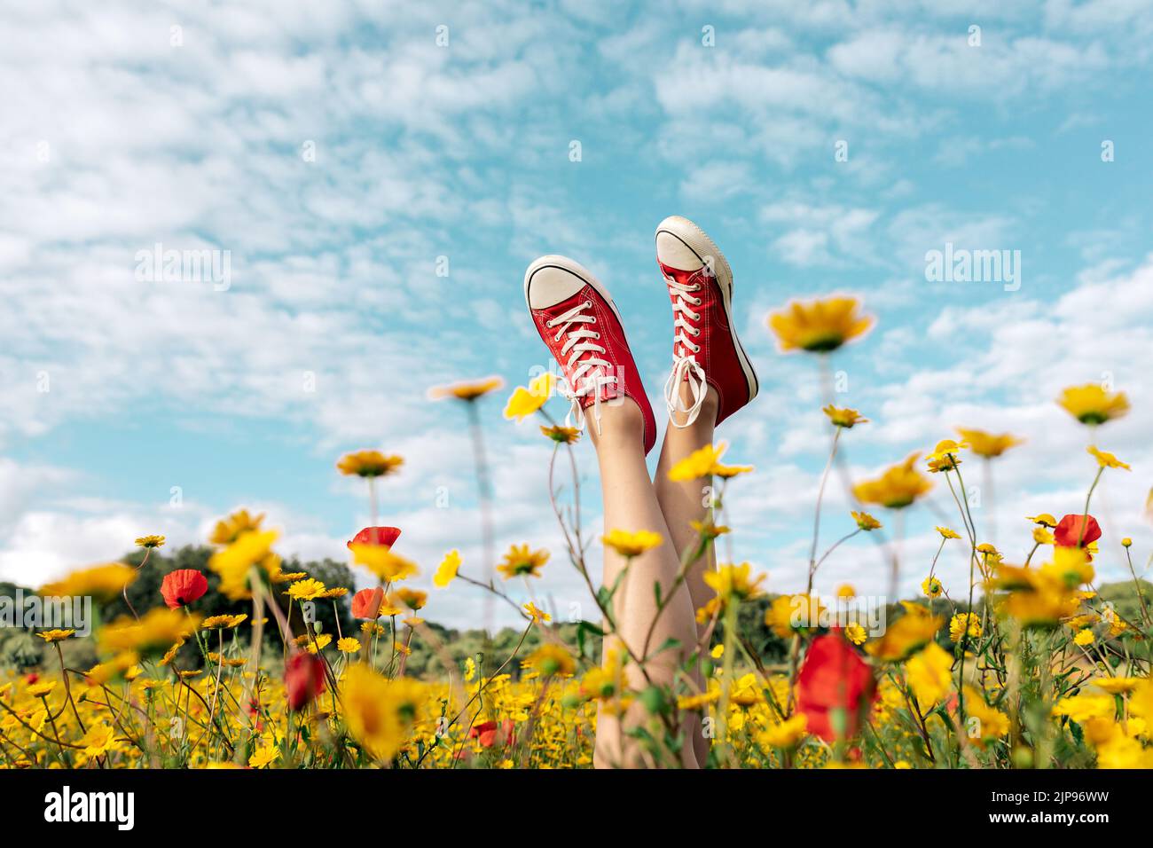 freedom, enjoy, summer meadow, excursion, summer, freedoms, enjoys ...