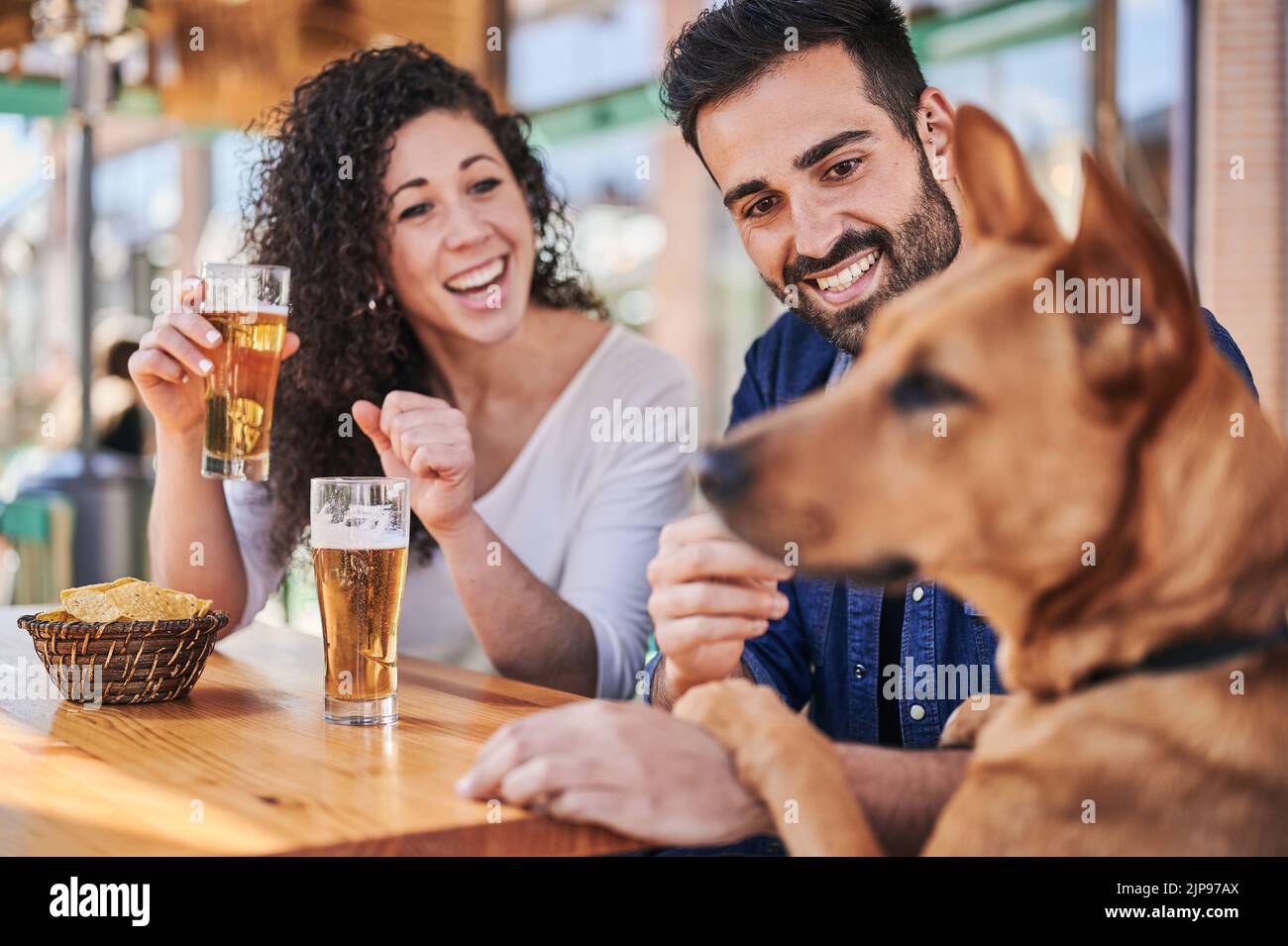 restaurant, dog owners, restaurants, dog owner Stock Photo - Alamy