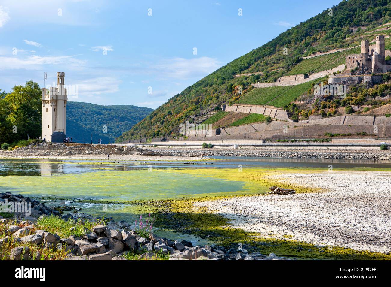 The famous Maeuseturm nearby the confluence of Nahe and Rhine River at ...