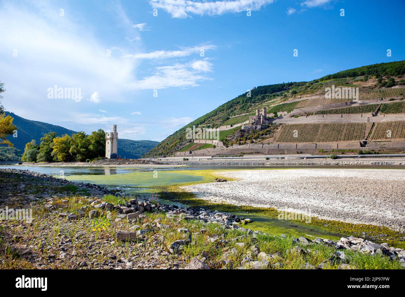The famous Maeuseturm nearby the confluence of Nahe and Rhine River at ...