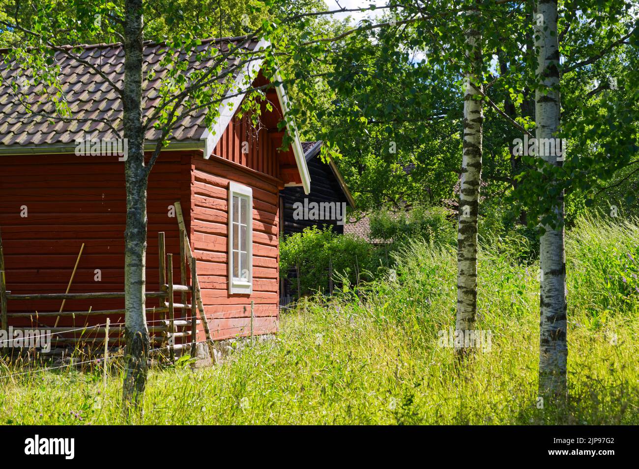 Typical red Scandinavian house with white windows in a peaceful ...