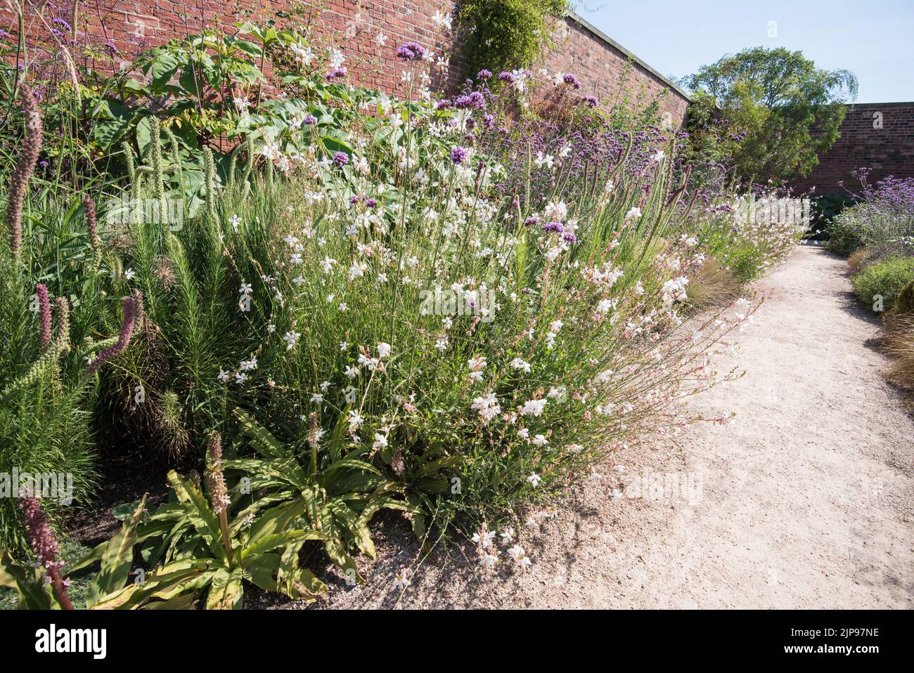 Inside the walled gardens with amazing displays at the RHS Royal ...