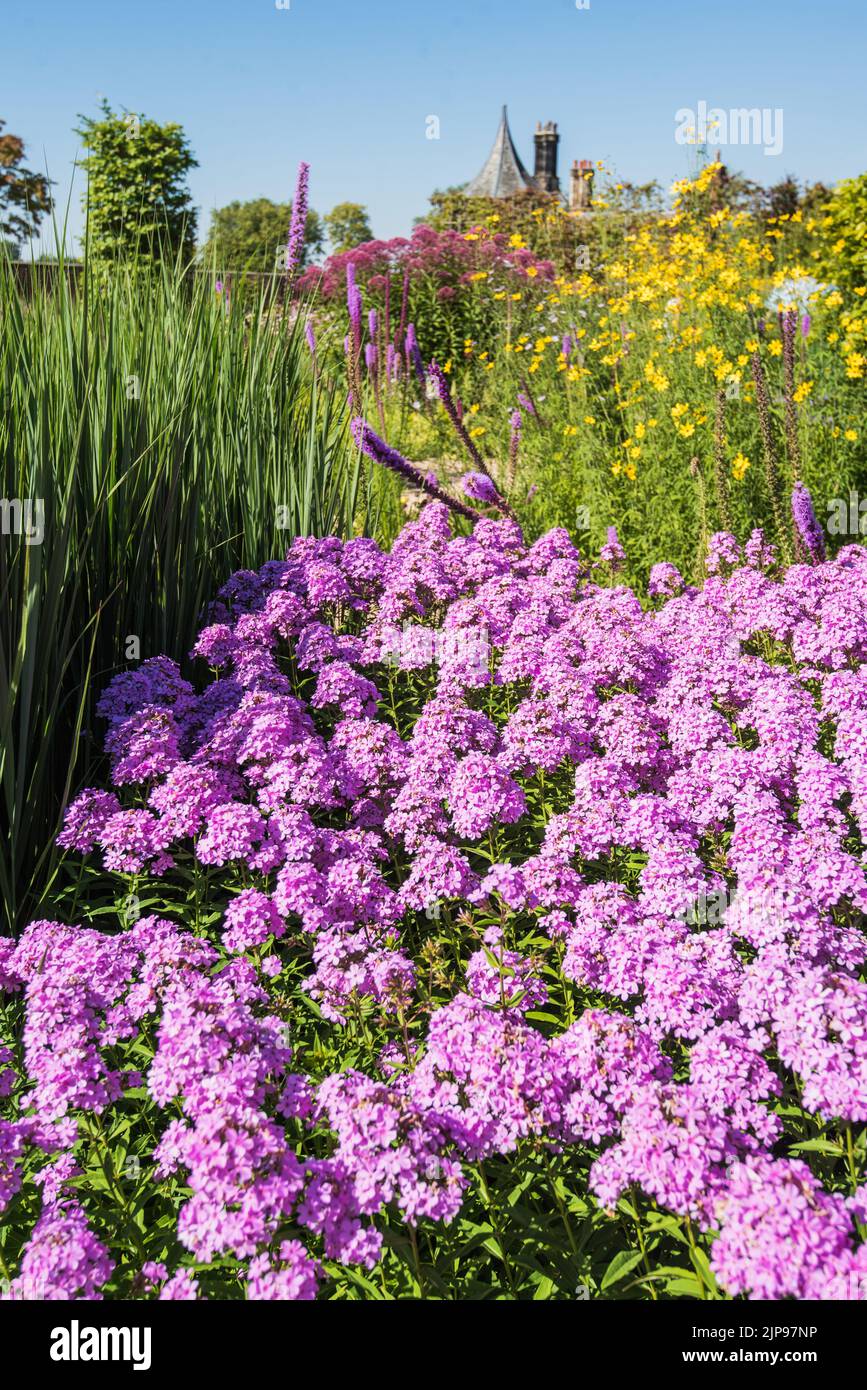 Inside the walled gardens with amazing displays at the RHS Royal ...