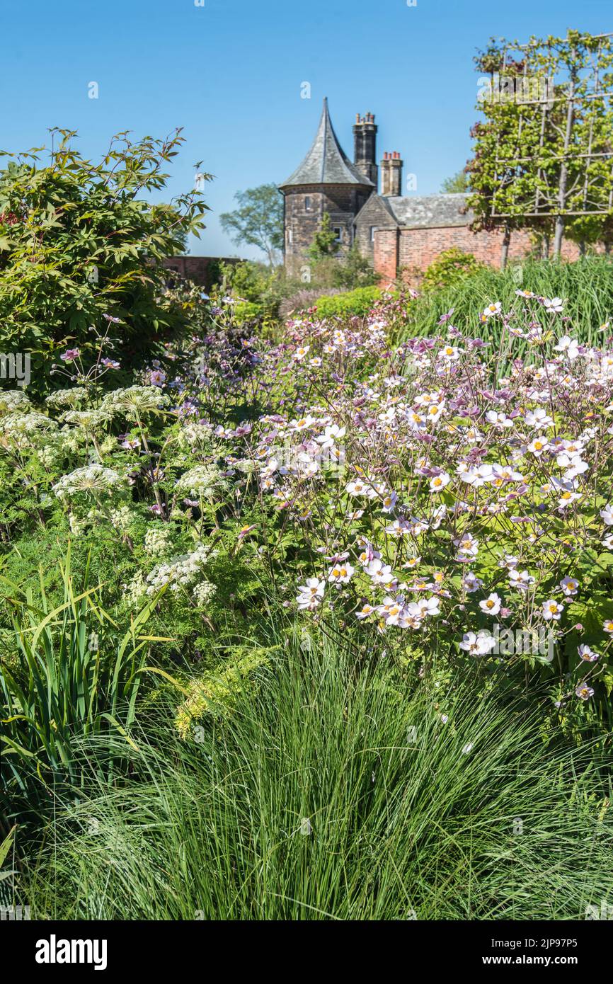Inside the walled gardens with amazing displays at the RHS Royal ...