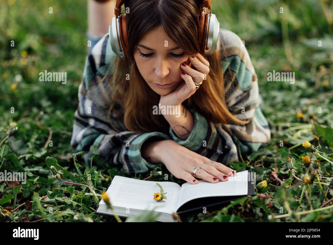 leisure, reading, leisures, read, reading a book, reading something, to ...