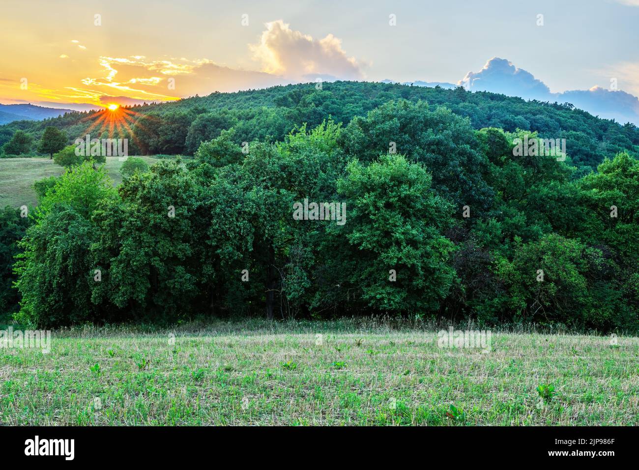 Sun setting over forest hi-res stock photography and images - Alamy