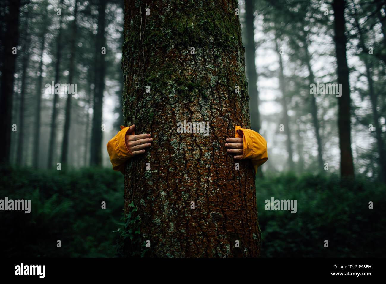 embracing, nature, nature lovers, waldbaden, cuddling, hug, hugging ...