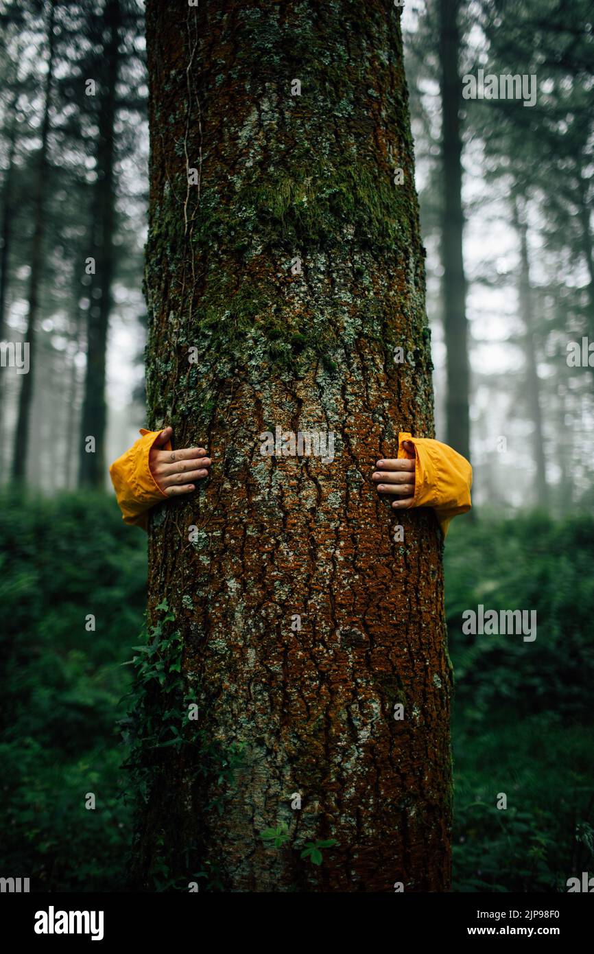 embracing, nature, nature lovers, waldbaden, cuddling, hug, hugging ...