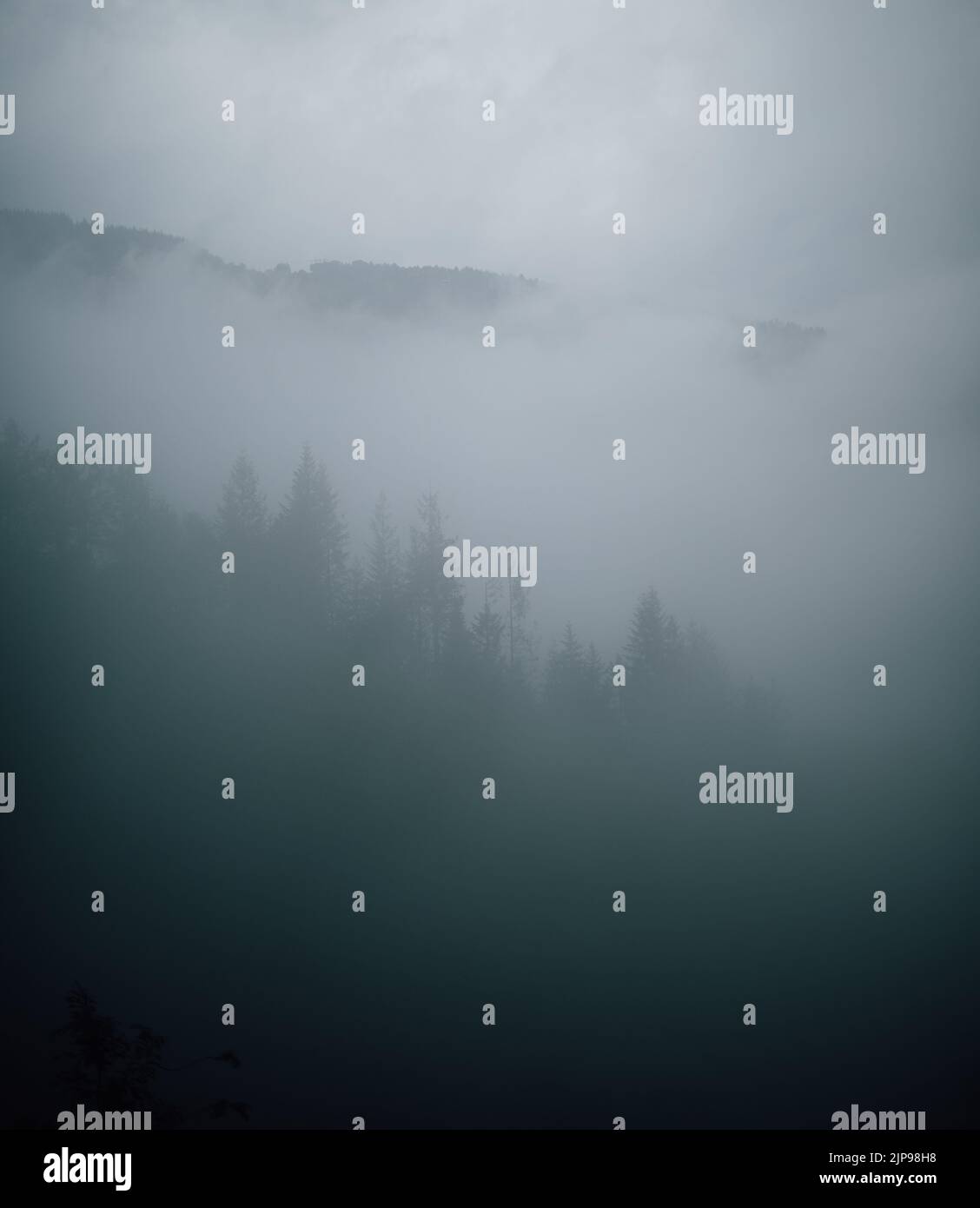 foggy, mist, cloud forest, foggies, mists, cloud forests Stock Photo ...