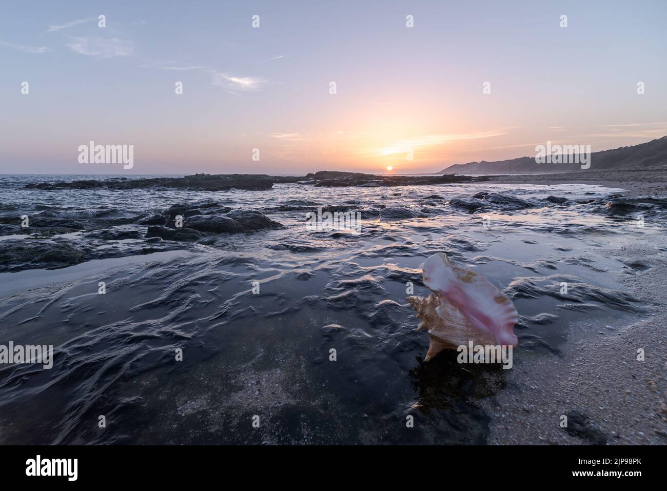sunset, beach, mussel, sunsets, beaches, seaside, mussels Stock Photo ...