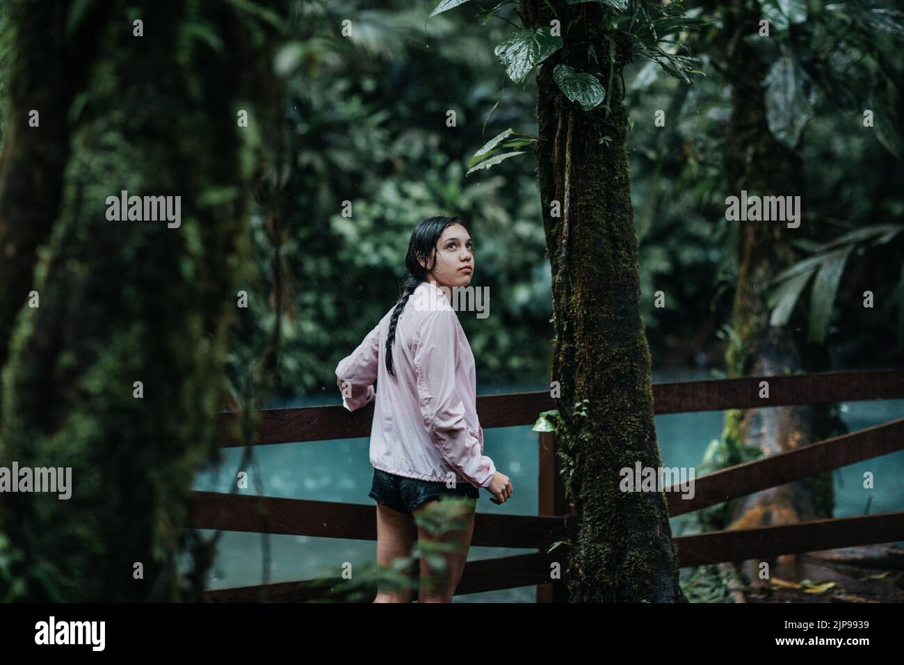 jungle, tropical, rainforest, rain, tropicals, rainforests, raining ...