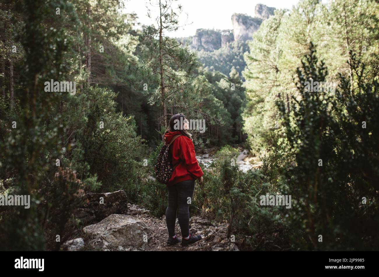 wilderness, hiking, excursion, wild, excursions, trip, trips Stock ...