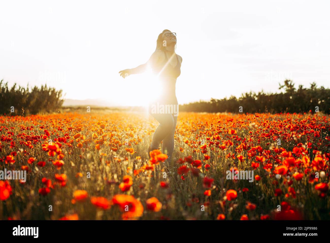 Dancing poppies hi-res stock photography and images - Alamy