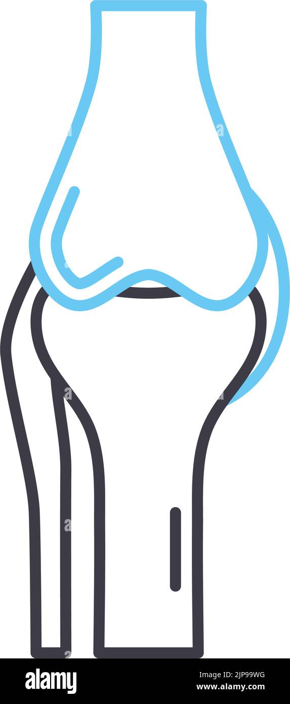 Human body joint medical concept Stock Vector Images - Alamy