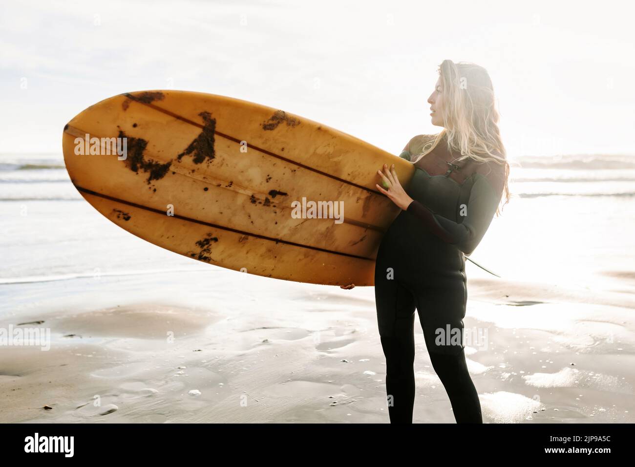 beach, surfboard, surfer, beaches, seaside, surfboards, surfers Stock ...