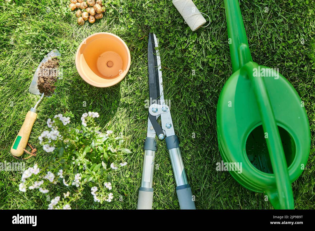 watering can, garden tools and flower at summer Stock Photo - Alamy