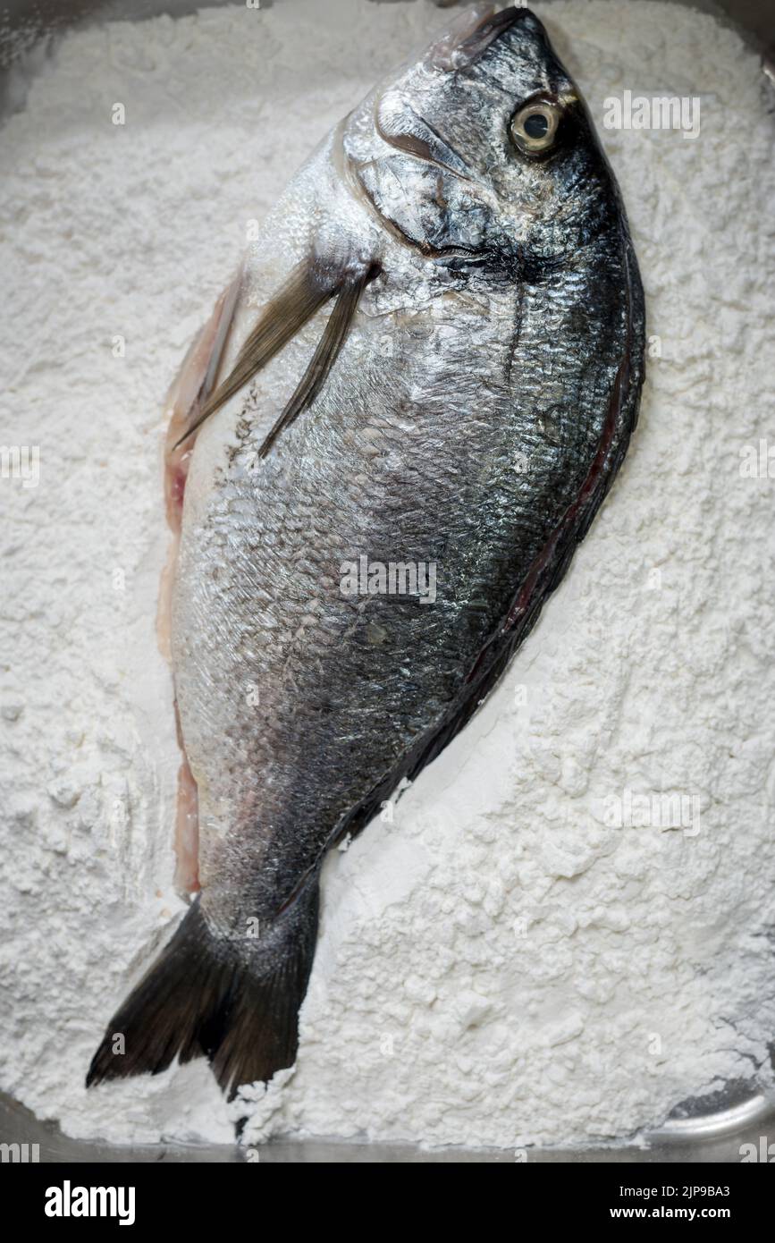 fish, preparation, gilt head bream, breading, fishes, preparations ...