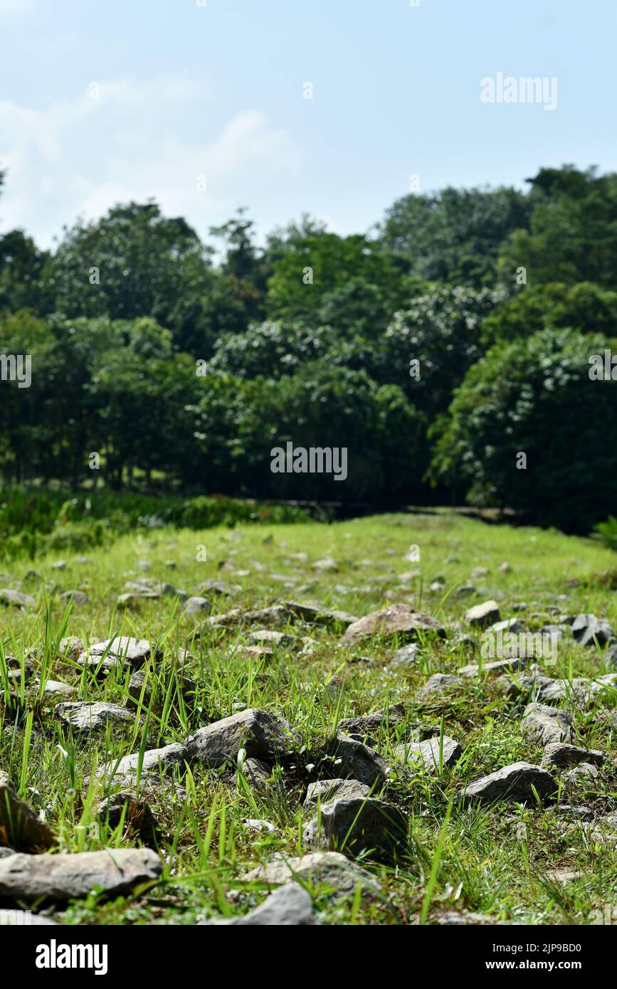 rough terrain trail for walking and trekking. rocky path on grass Stock ...