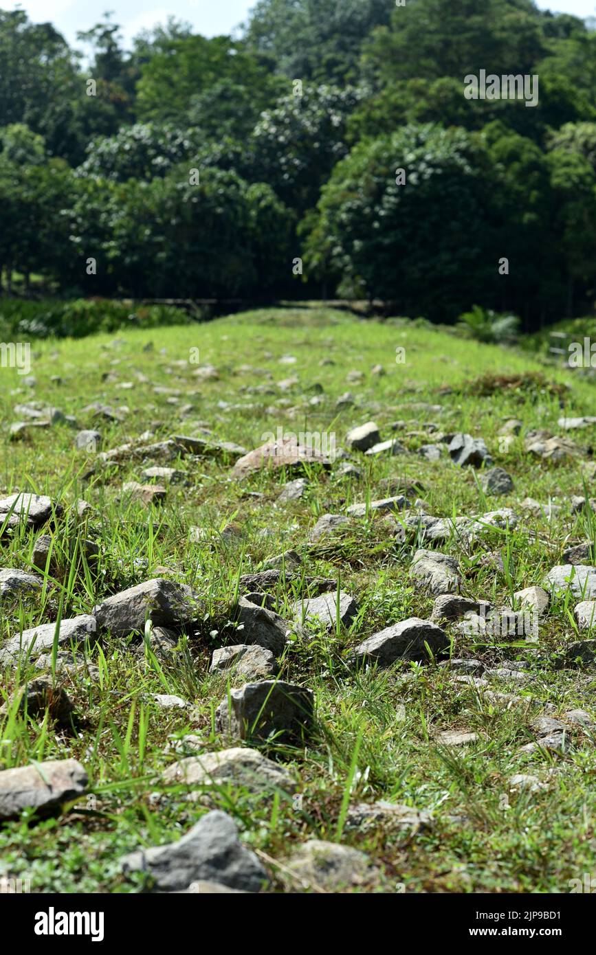 rough terrain trail for walking and trekking. rocky path on grass Stock ...