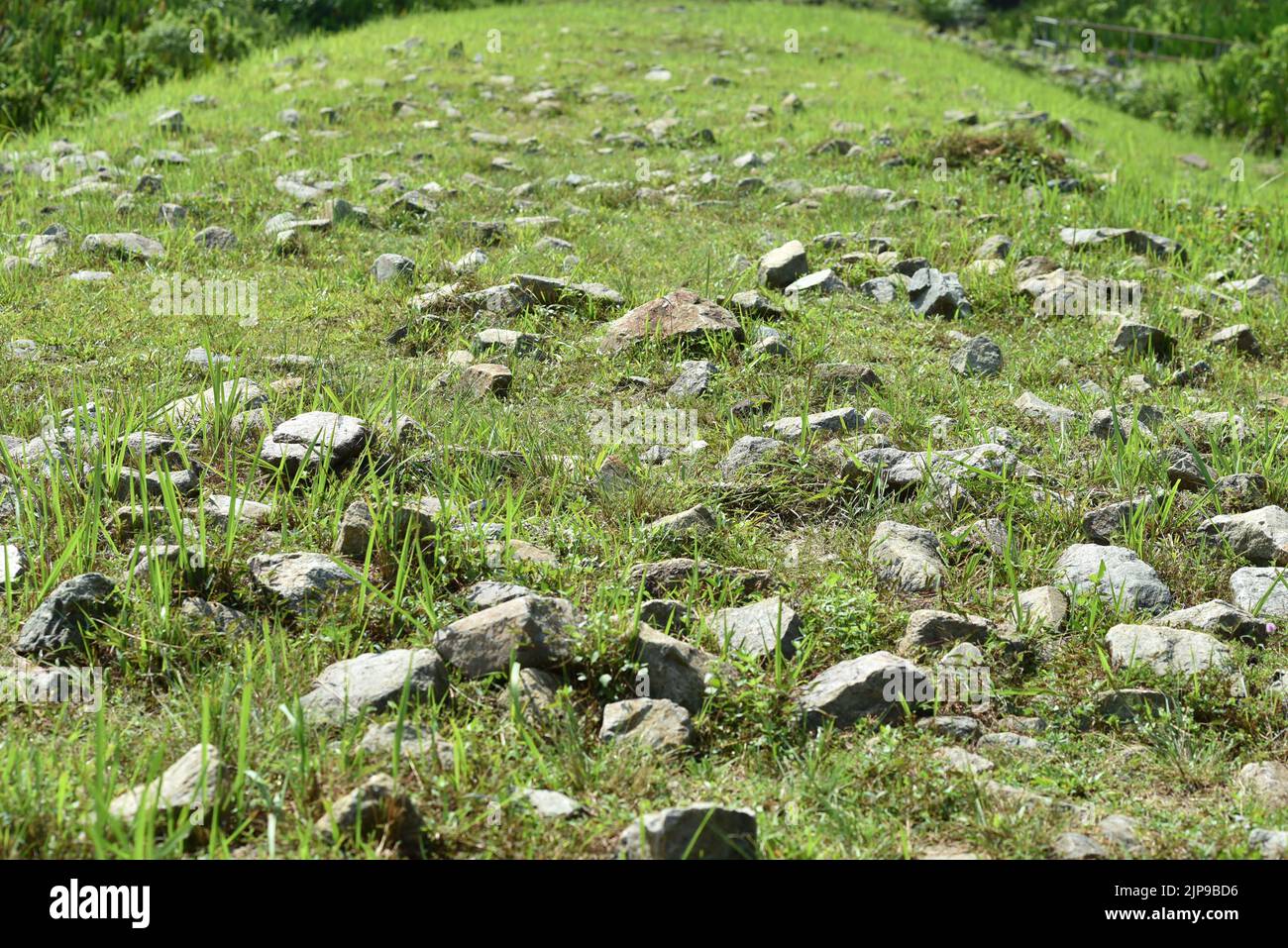 rough terrain trail for walking and trekking. rocky path on grass Stock ...