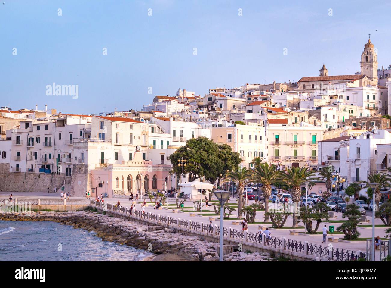 City of vieste hi-res stock photography and images - Alamy