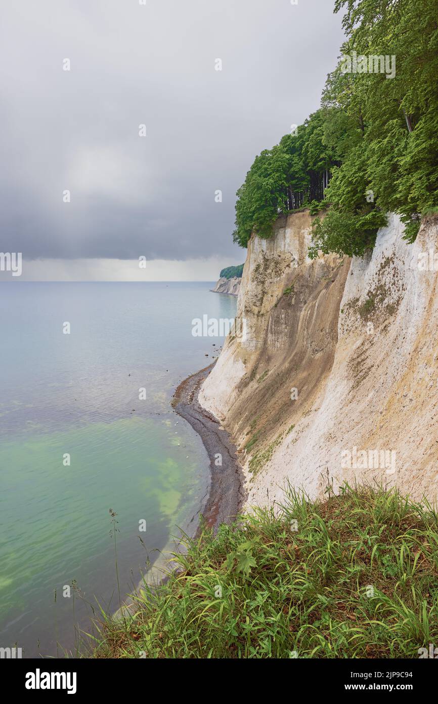 Rugen island and bird hi-res stock photography and images - Alamy