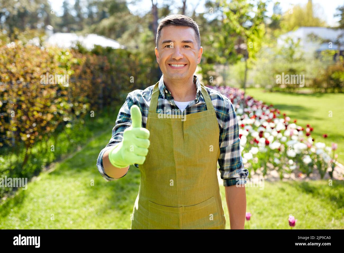 happy man in apron showing thumbs up at garden Stock Photo - Alamy