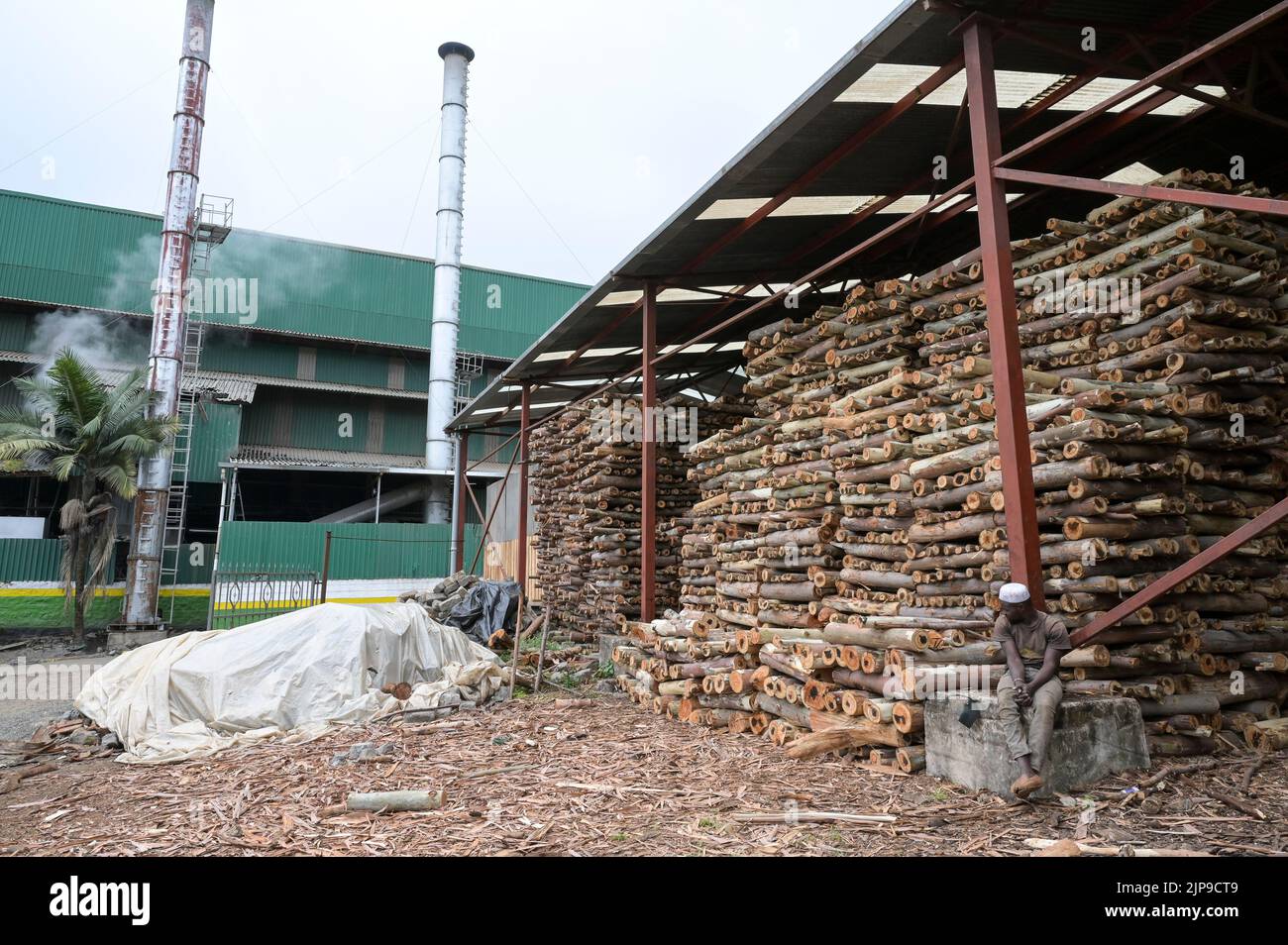 Teeherstellung hi-res stock photography and images - Alamy