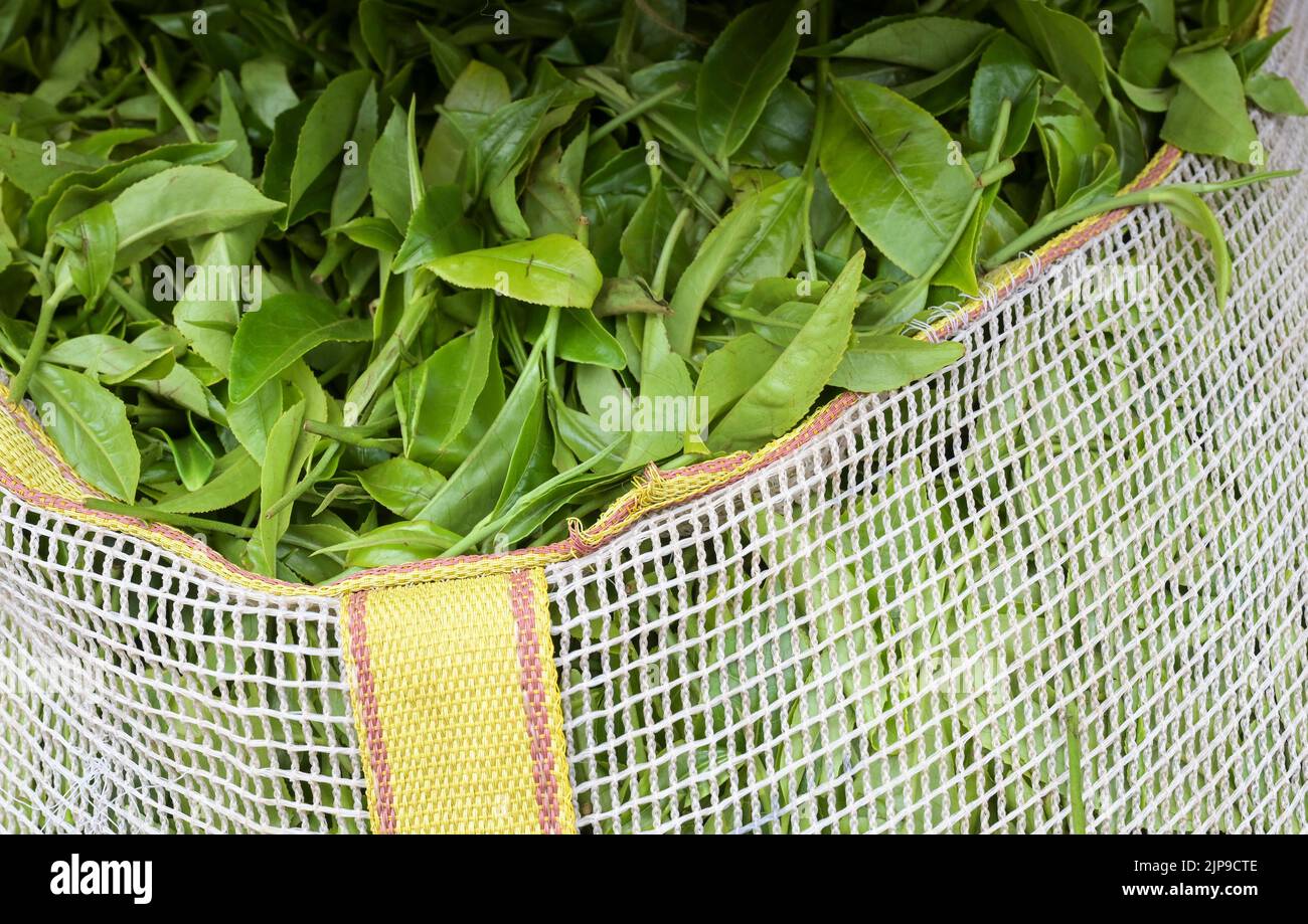 Ktda hi-res stock photography and images - Alamy