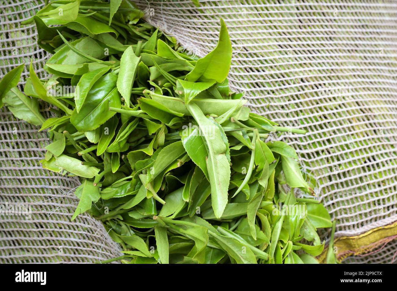 Ktda hi-res stock photography and images - Alamy