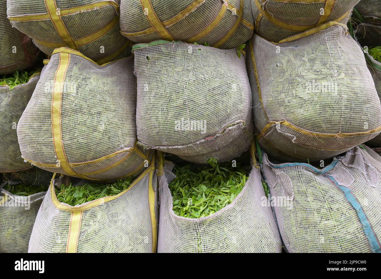 Ktda hi-res stock photography and images - Alamy