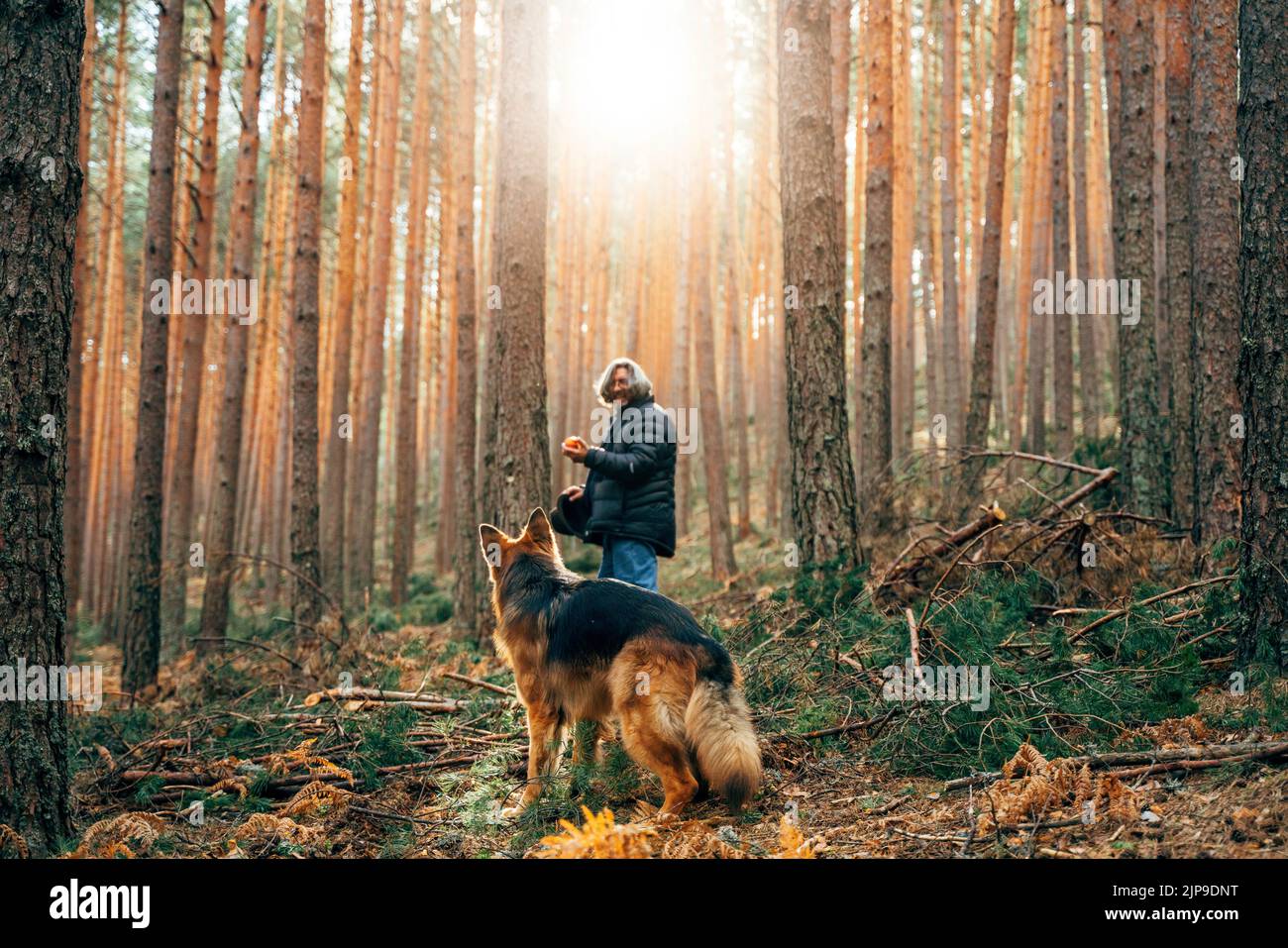 Shepherd man male hi-res stock photography and images - Alamy