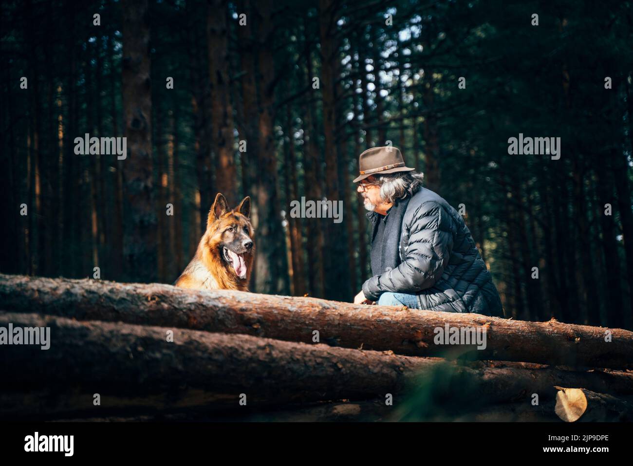 Man walks german shepherd hi-res stock photography and images - Alamy