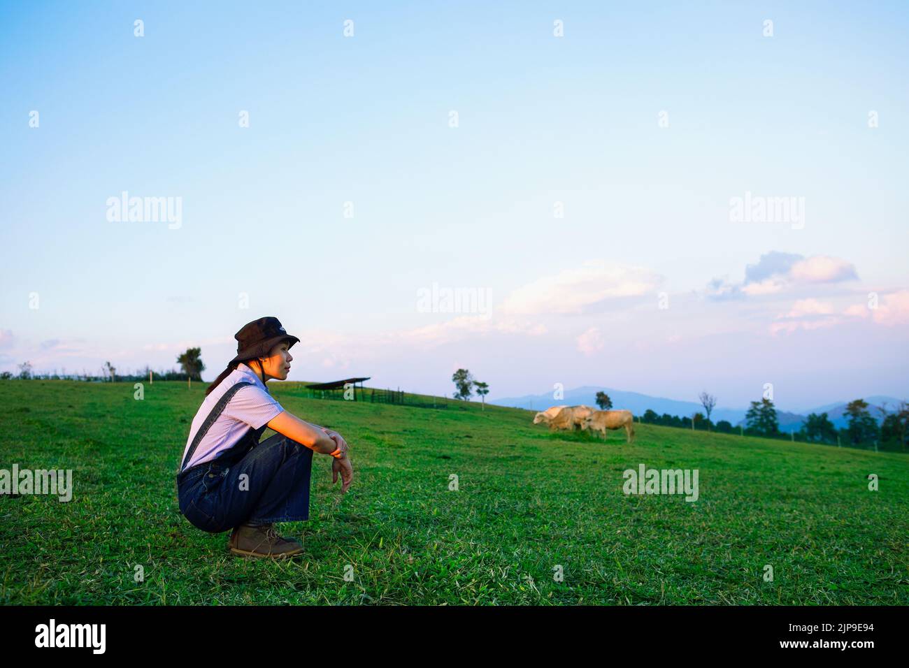 asian female in cowboy fashion style relax her vacation with cows ...