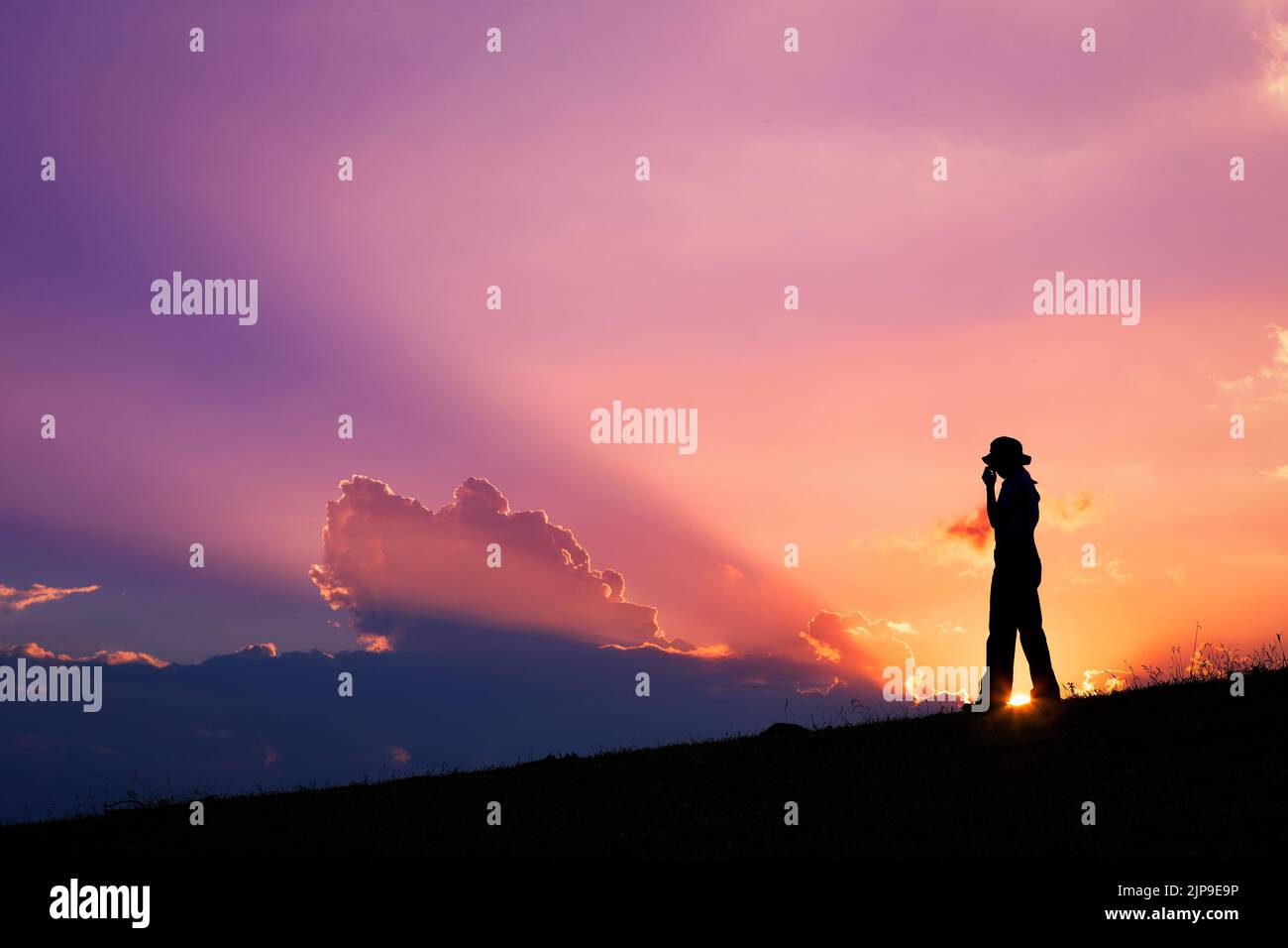 asian female in cowboy fashion style relax her vacation with cows ...
