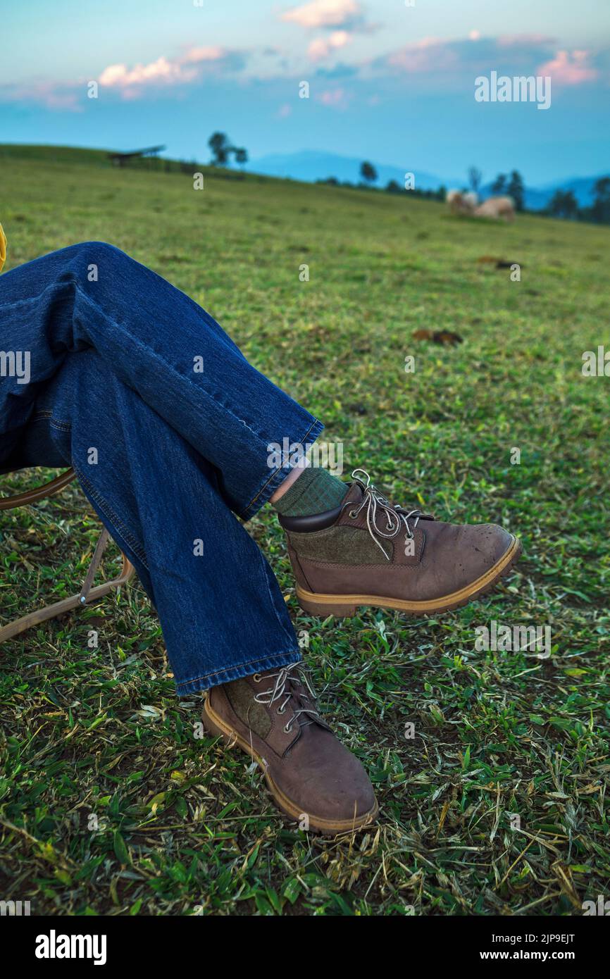 asian female in cowboy fashion style relax her vacation with cows ...