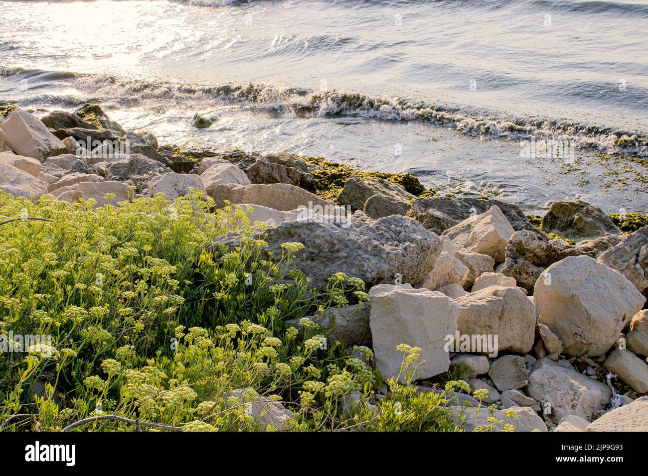 Stones formation in beach hi-res stock photography and images - Alamy