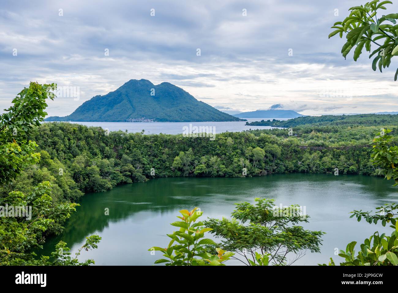 Halmahera not insect not fish not bird hi-res stock photography and ...