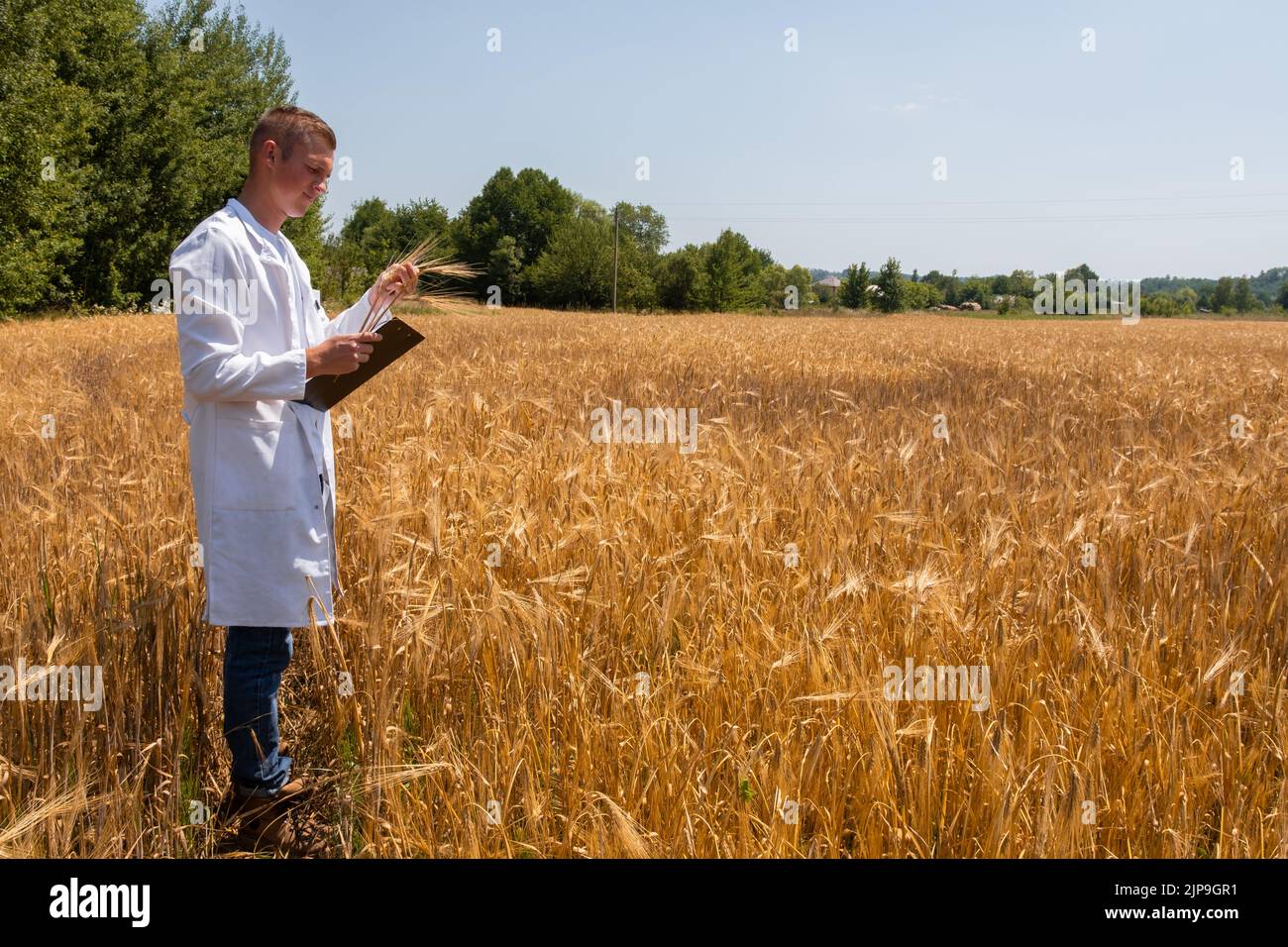 Young agronomist, farmer with tablet in hands, creates yield maps in ...