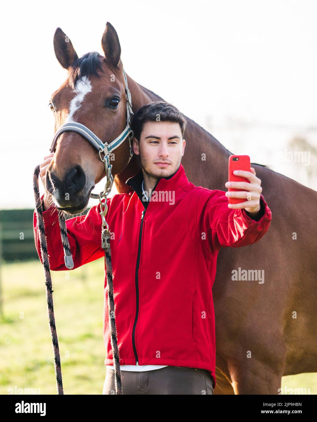 animal love, horses, selfie, animal loves, horse Stock Photo - Alamy
