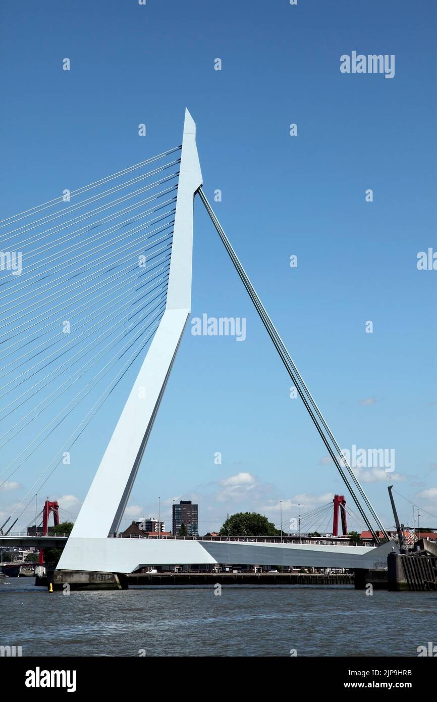 The Erasmusbrug or Erasmus Bridge (1996), Rotterdam, Netherlands Stock ...