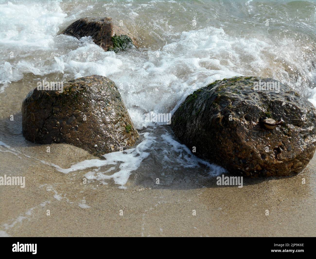 Formation of microorganisms hi-res stock photography and images - Alamy